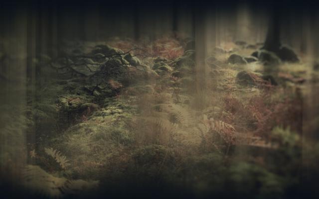 39 Steps [redPlant Realtime Studio]